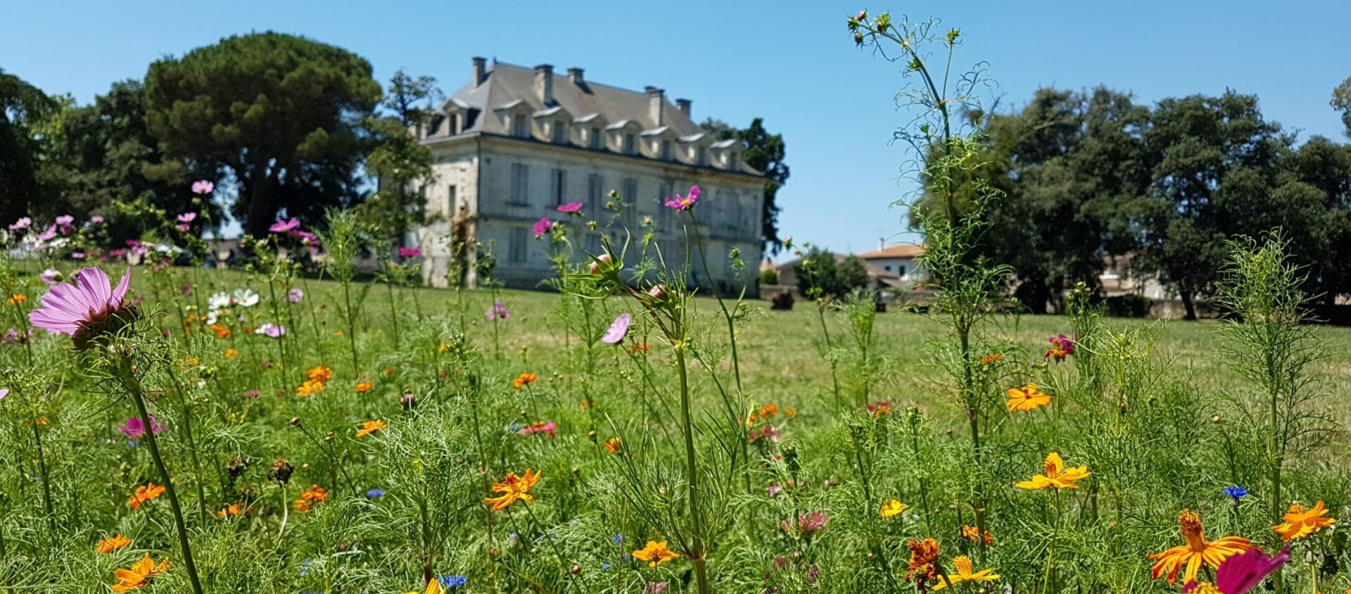 Page d’accueil - Mairie de Cadaujac