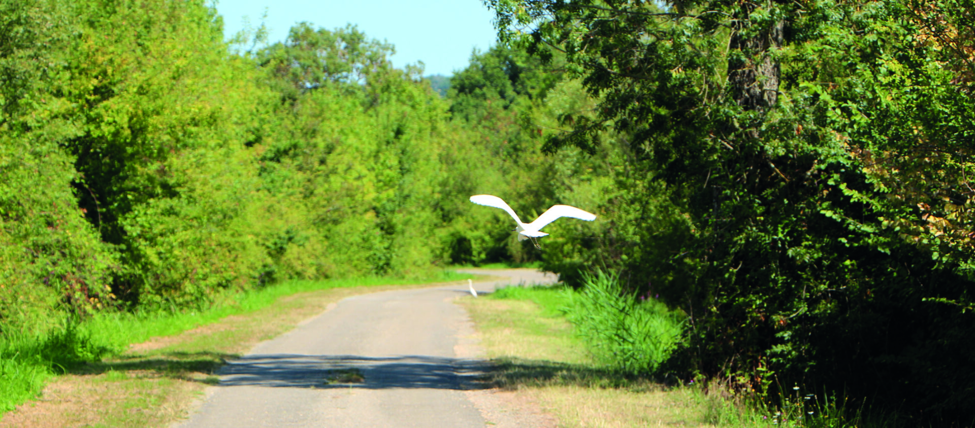 Page d’accueil - Mairie de Cadaujac