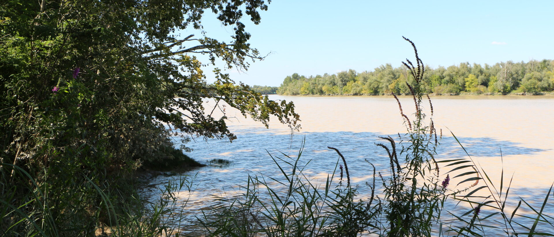 Page d’accueil - Mairie de Cadaujac