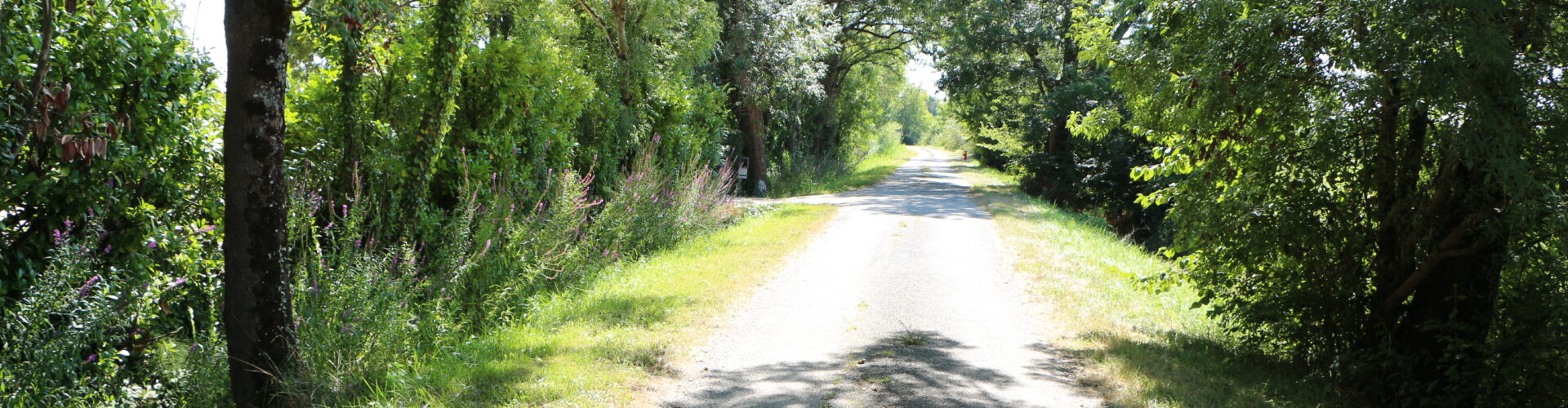 Un touriste - Mairie de Cadaujac