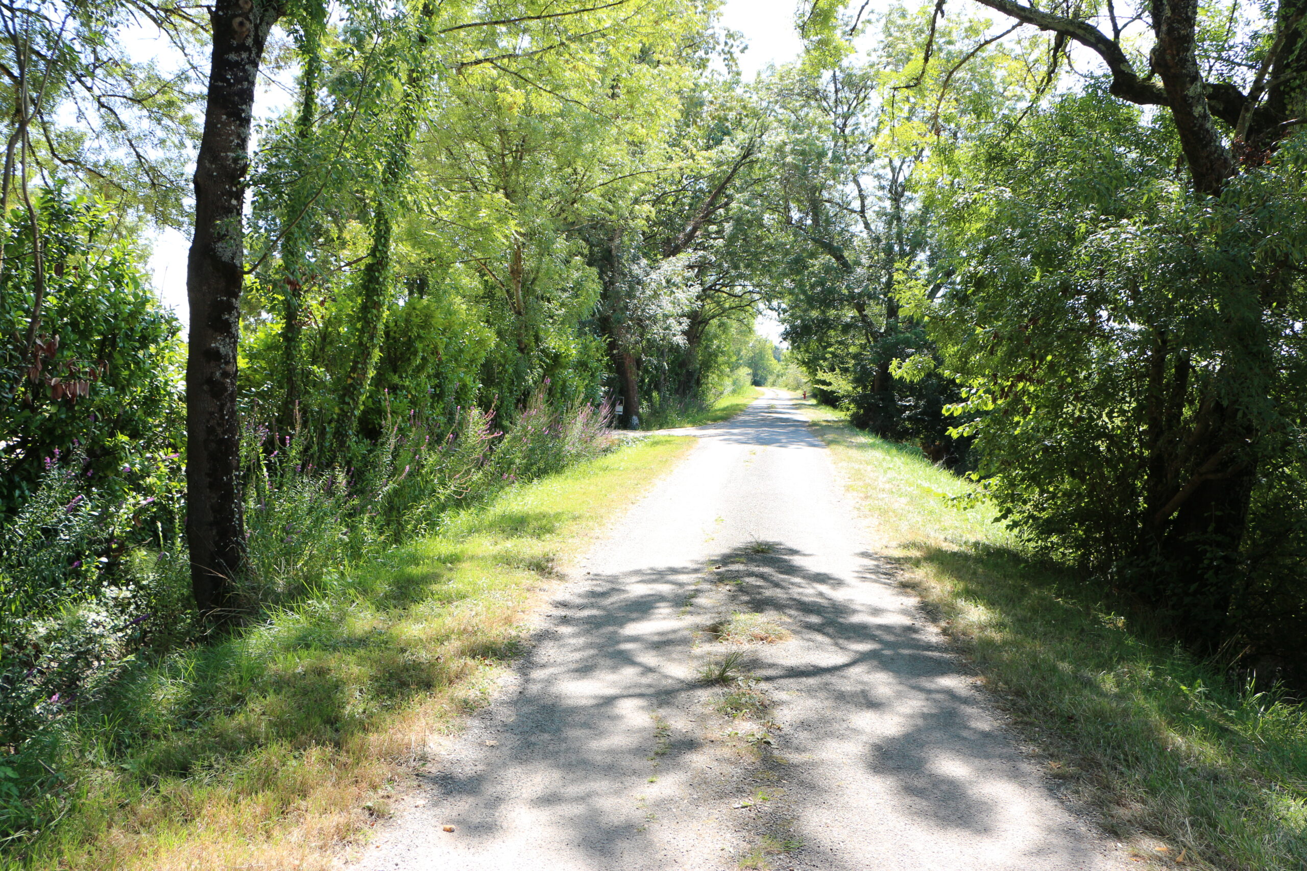 Un touriste - Mairie de Cadaujac