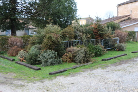 Page d’accueil - Mairie de Cadaujac